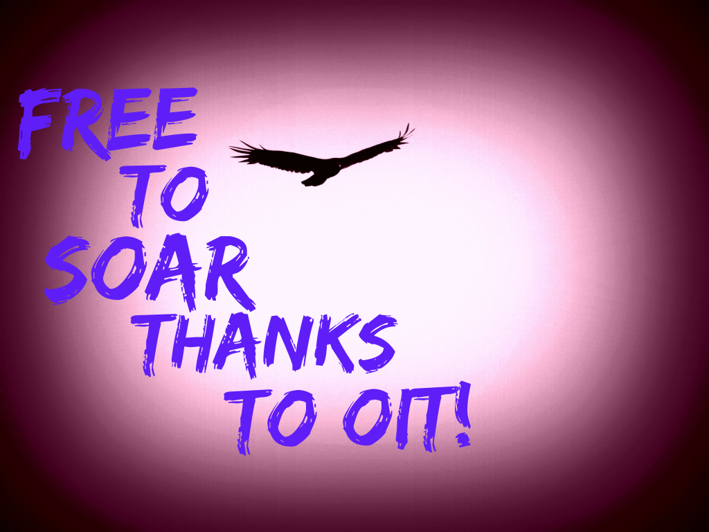 OIT Success Stories - OIT 101